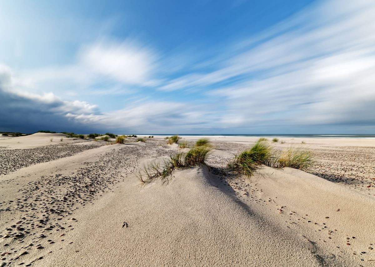 'Slowinski Park Narodowy' Poster, picture, metal print, paint by Ralf ...