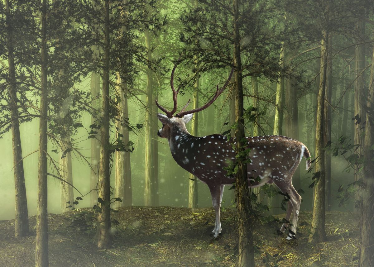 'Mystic Animal Pictures' Poster, picture, metal print, paint by Color ...