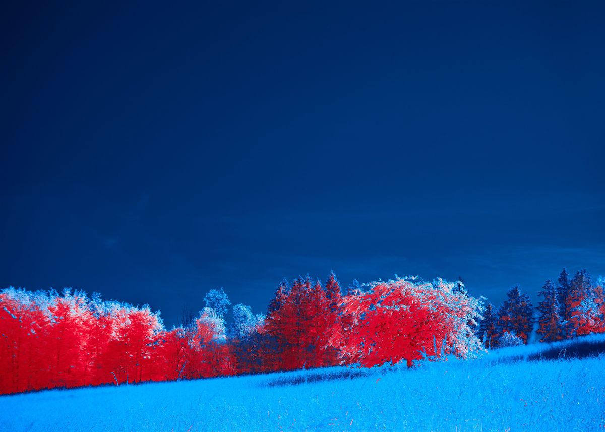 'Landscape break' Poster by Stephen Bredenkamp | Displate