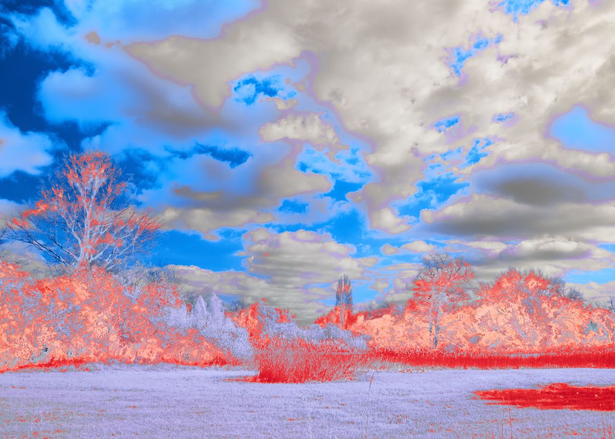 'Landscape Shimmer ' Poster, picture, metal print, paint by Stephen ...