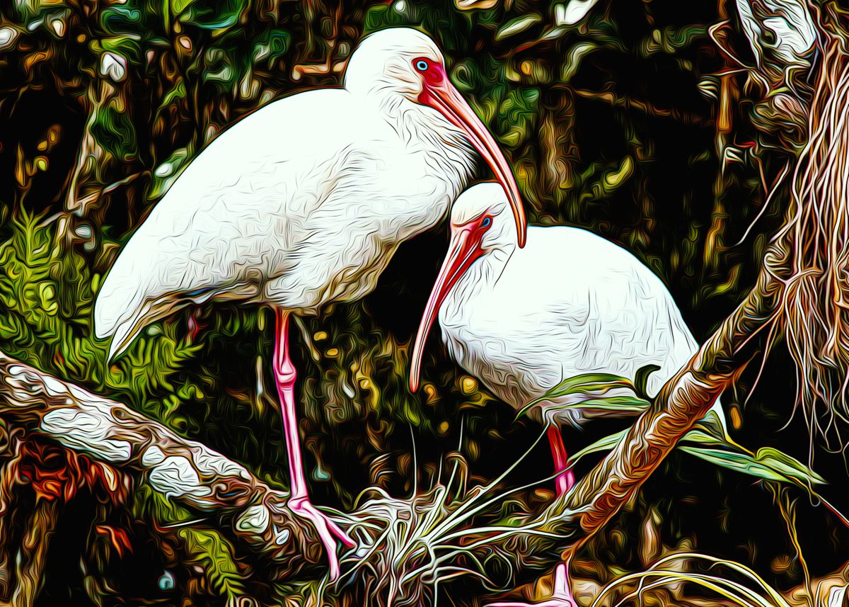 'Stork' Poster, picture, metal print, paint by Tiker Arts | Displate