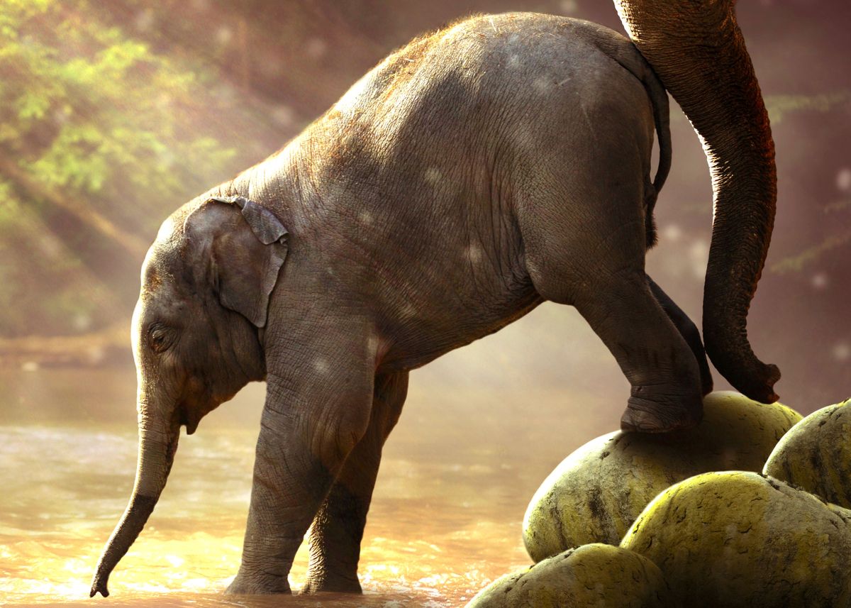 'Baby Elephant' Poster, picture, metal print, paint by Finnick | Displate