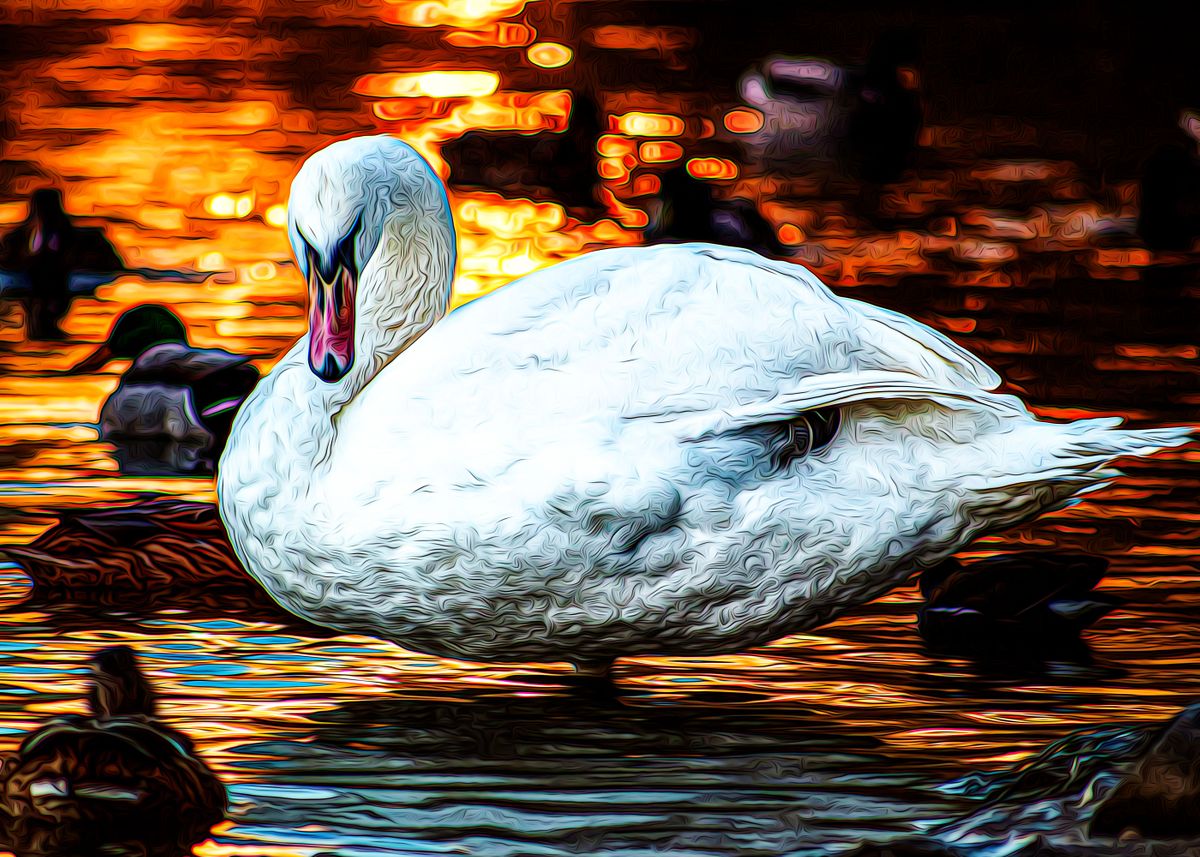 'Swan' Poster by Tiker Arts | Displate