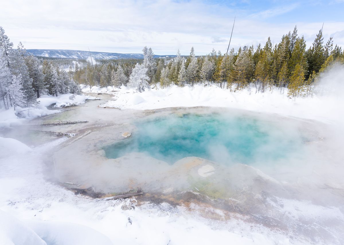 'Emerald Spring' Poster, picture, metal print, paint by KrispyArt ...