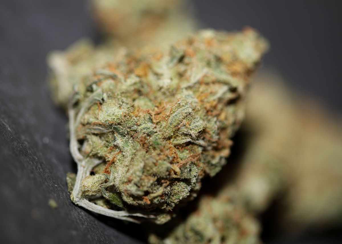 'Medical marihuana buds' Poster, picture, metal print, paint by ...