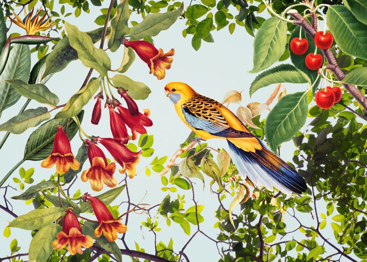 'Tropical bird ' Poster, picture, metal print, paint by Mango Art ...