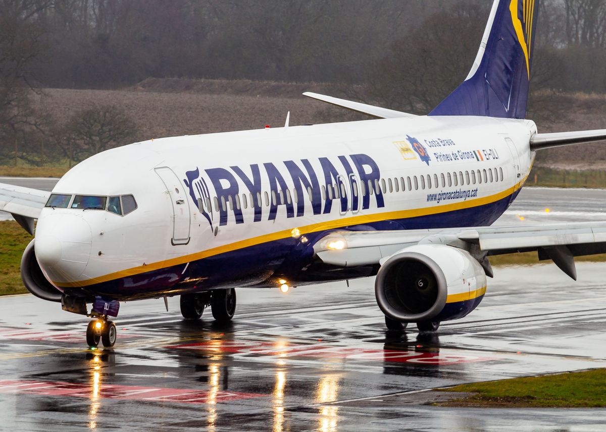 'Ryanair 737' Poster, picture, metal print, paint by hugo Veldmeijer ...