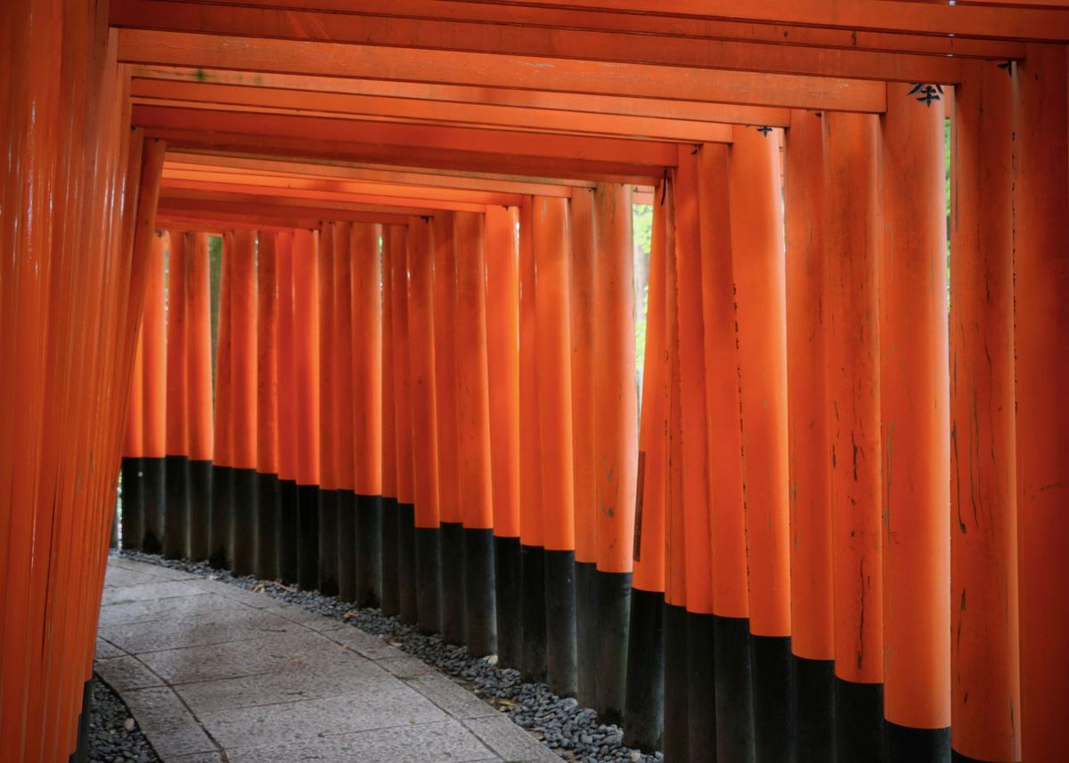 'Torii in Japan' Poster, picture, metal print, paint by Floris | Displate
