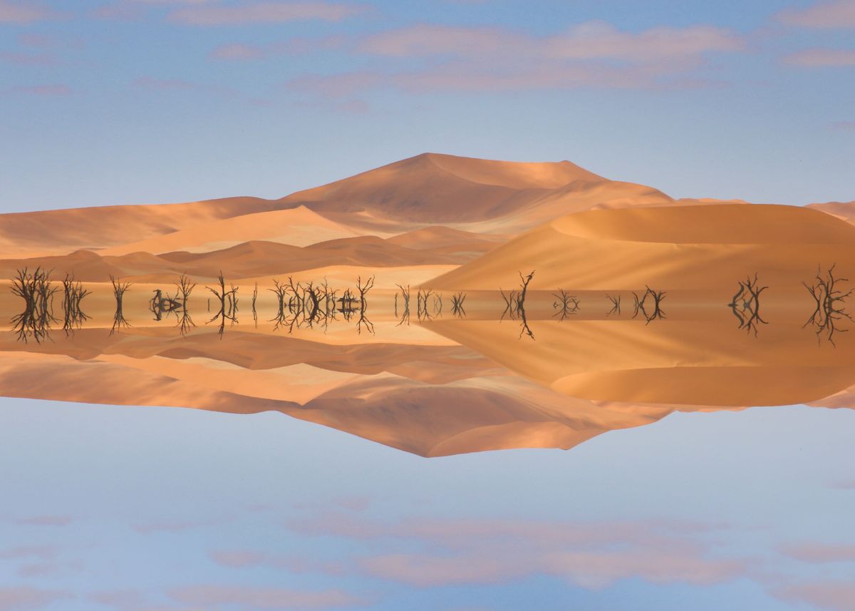 'Kalahari Desert' Poster, picture, metal print, paint by Ananta | Displate