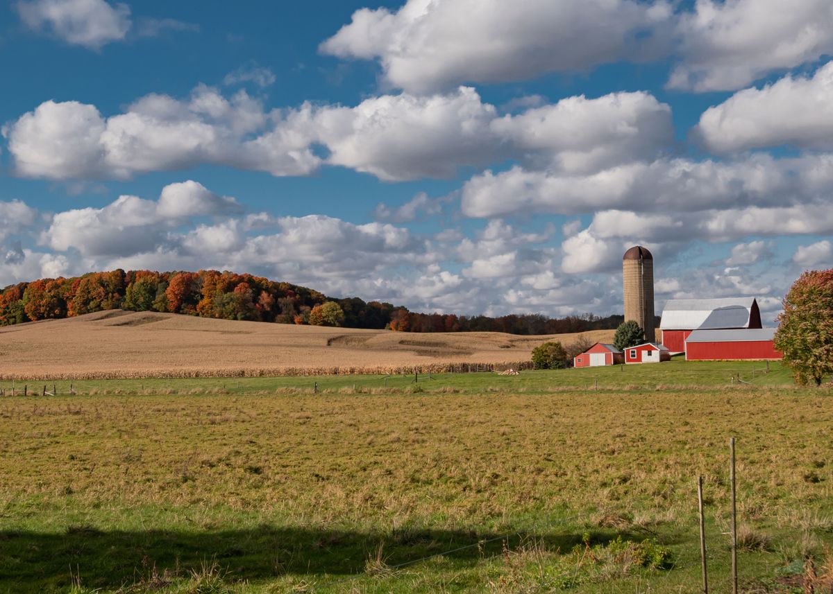 'Autmumn Farming' Poster, picture, metal print, paint by Brandon ...