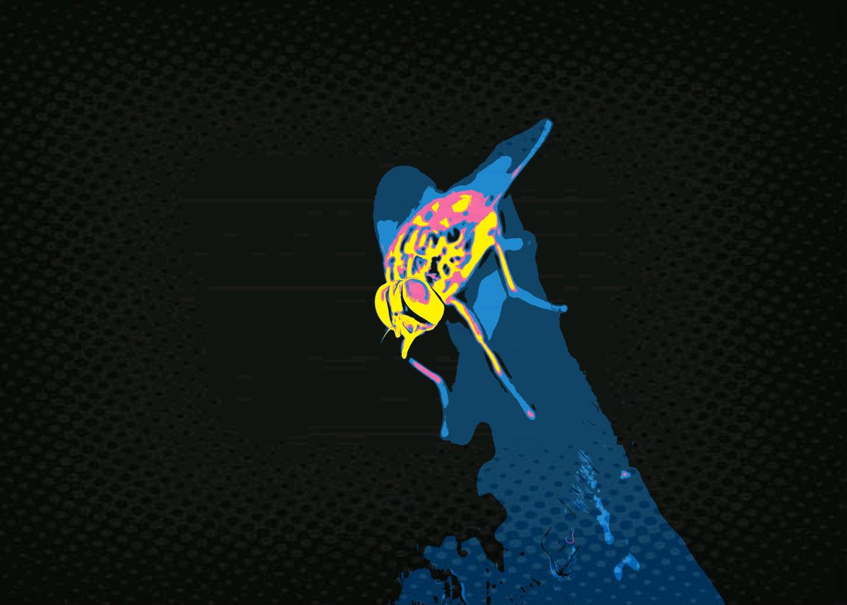 'Fly in Pop Art Style' Poster, picture, metal print, paint by Renato ...