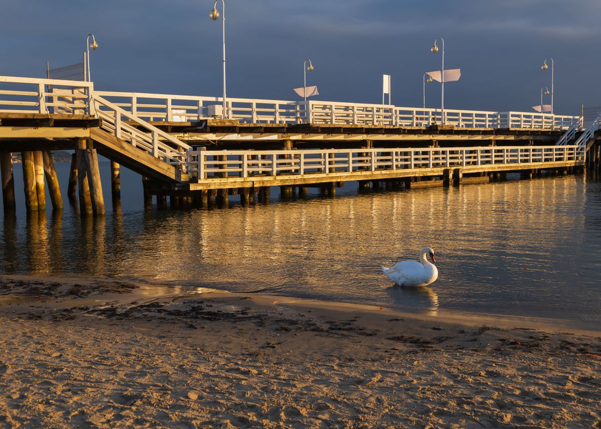 'Sopot Pier At Sunrise' Poster, picture, metal print, paint by ...