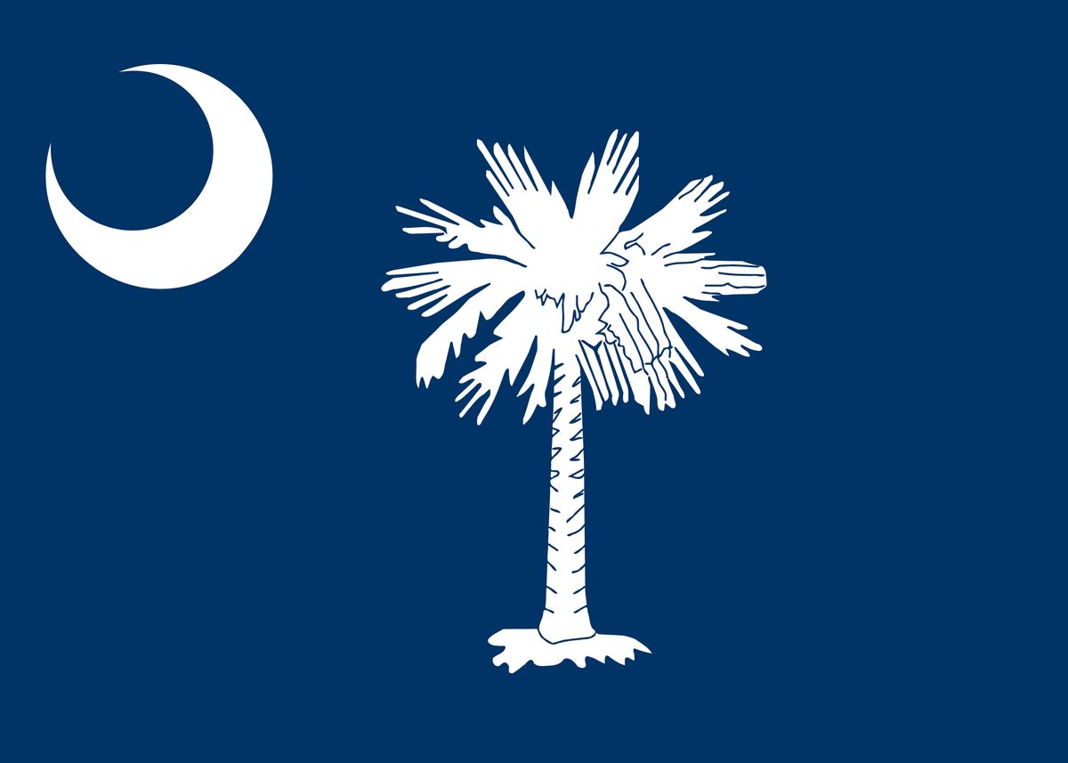 'South Carolina State Flag' Poster, picture, metal print, paint by ...