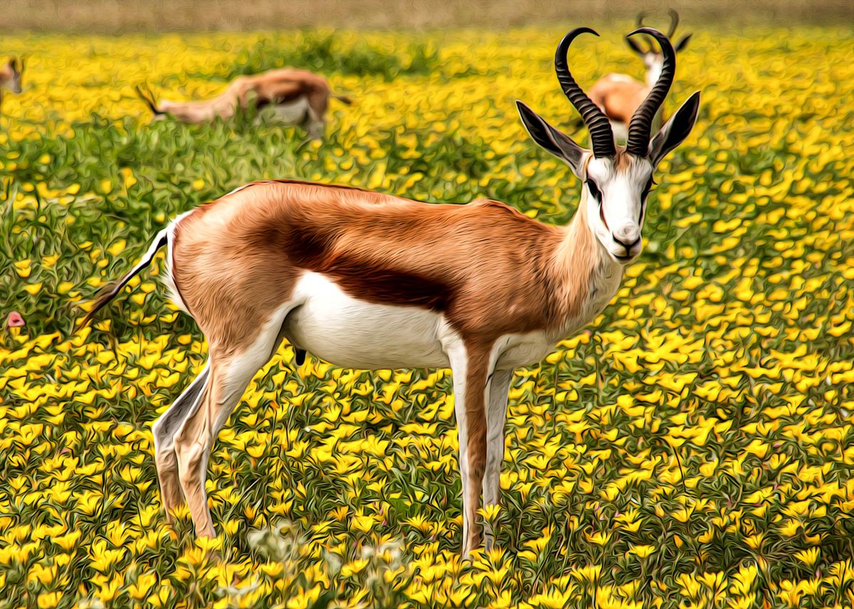 'Antelope' Poster, picture, metal print, paint by Tiker Arts | Displate