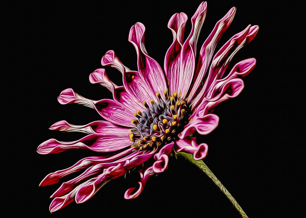 'Flower' Poster, picture, metal print, paint by Ties Rosi | Displate