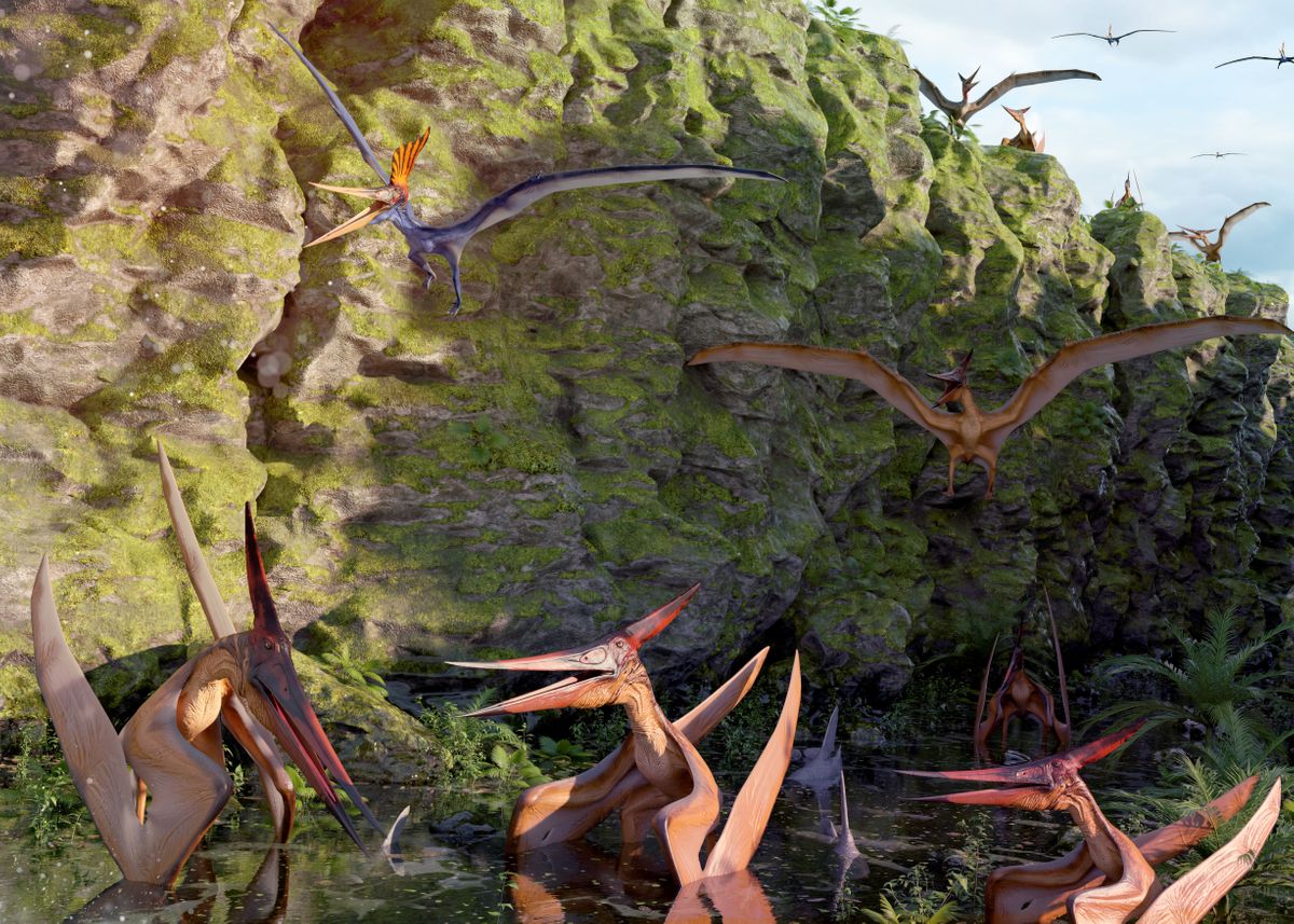 'Pterodactyl dinosaurs' Poster, picture, metal print, paint by Gigi Bgm ...