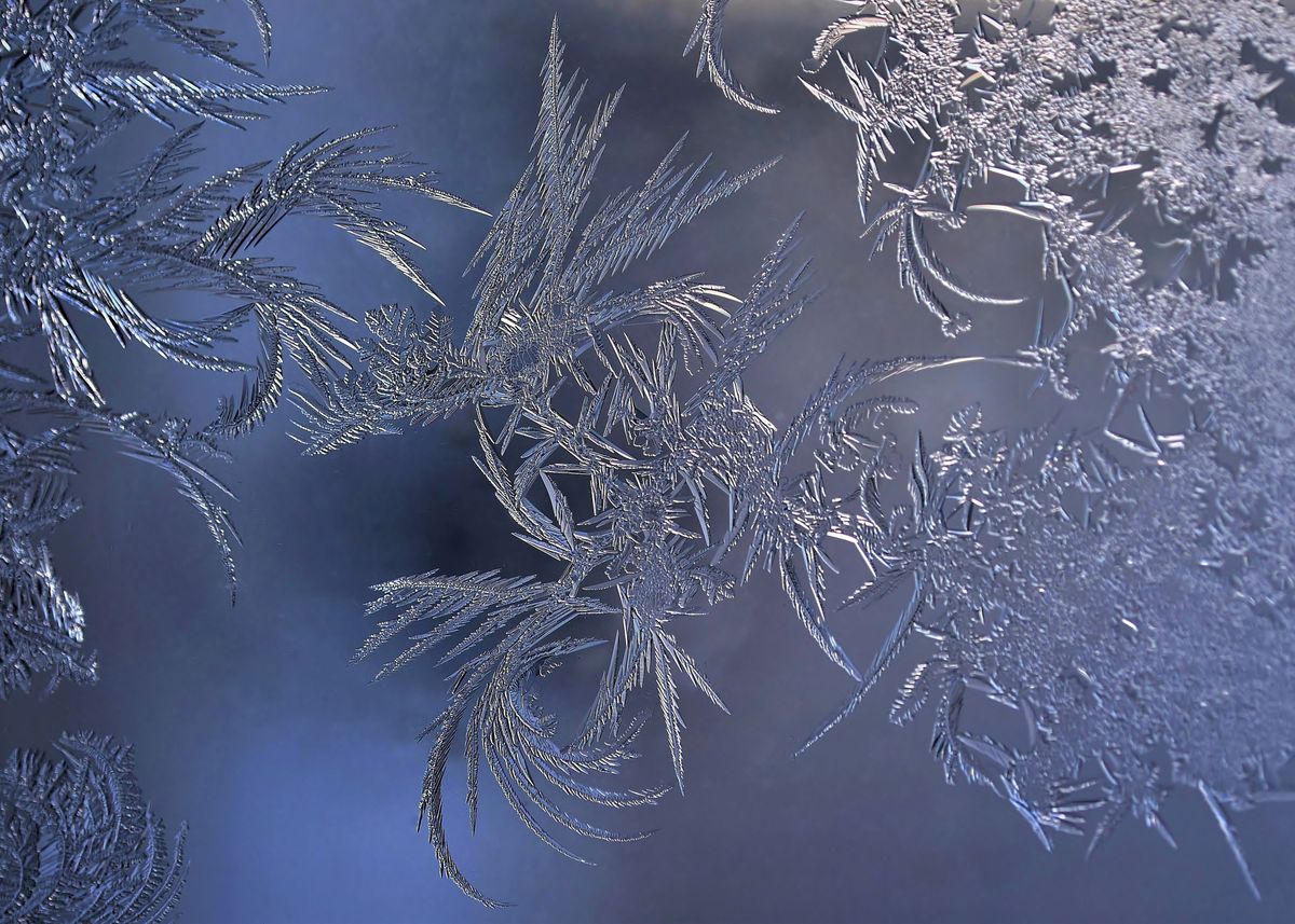 'Frost art ice angel' Poster, picture, metal print, paint by Fredrik ...