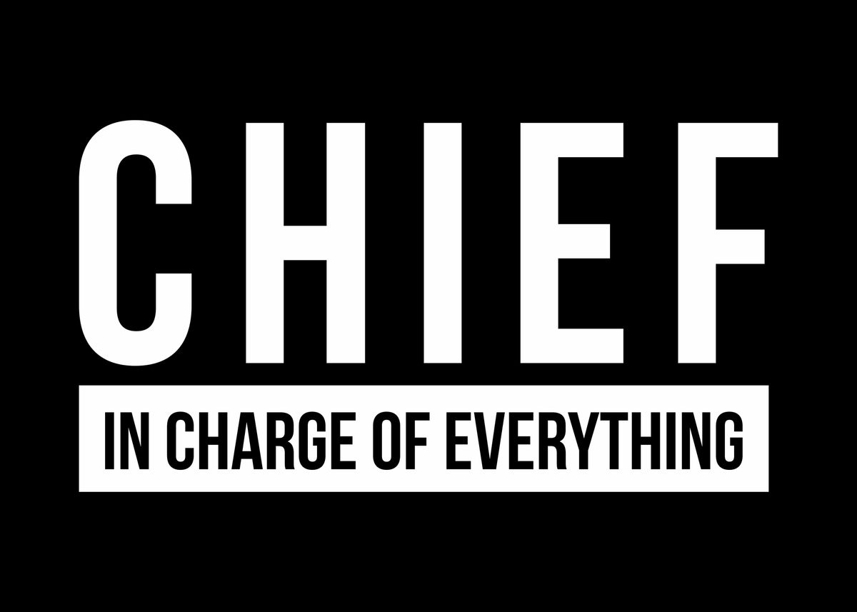 'Chief' Poster, picture, metal print, paint by Ba Ab | Displate