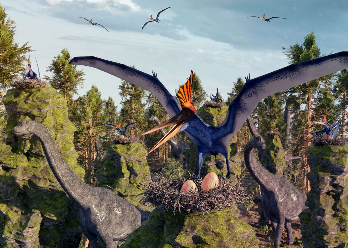 'Pterodactyl dinosaur' Poster, picture, metal print, paint by Gigi Bgm ...