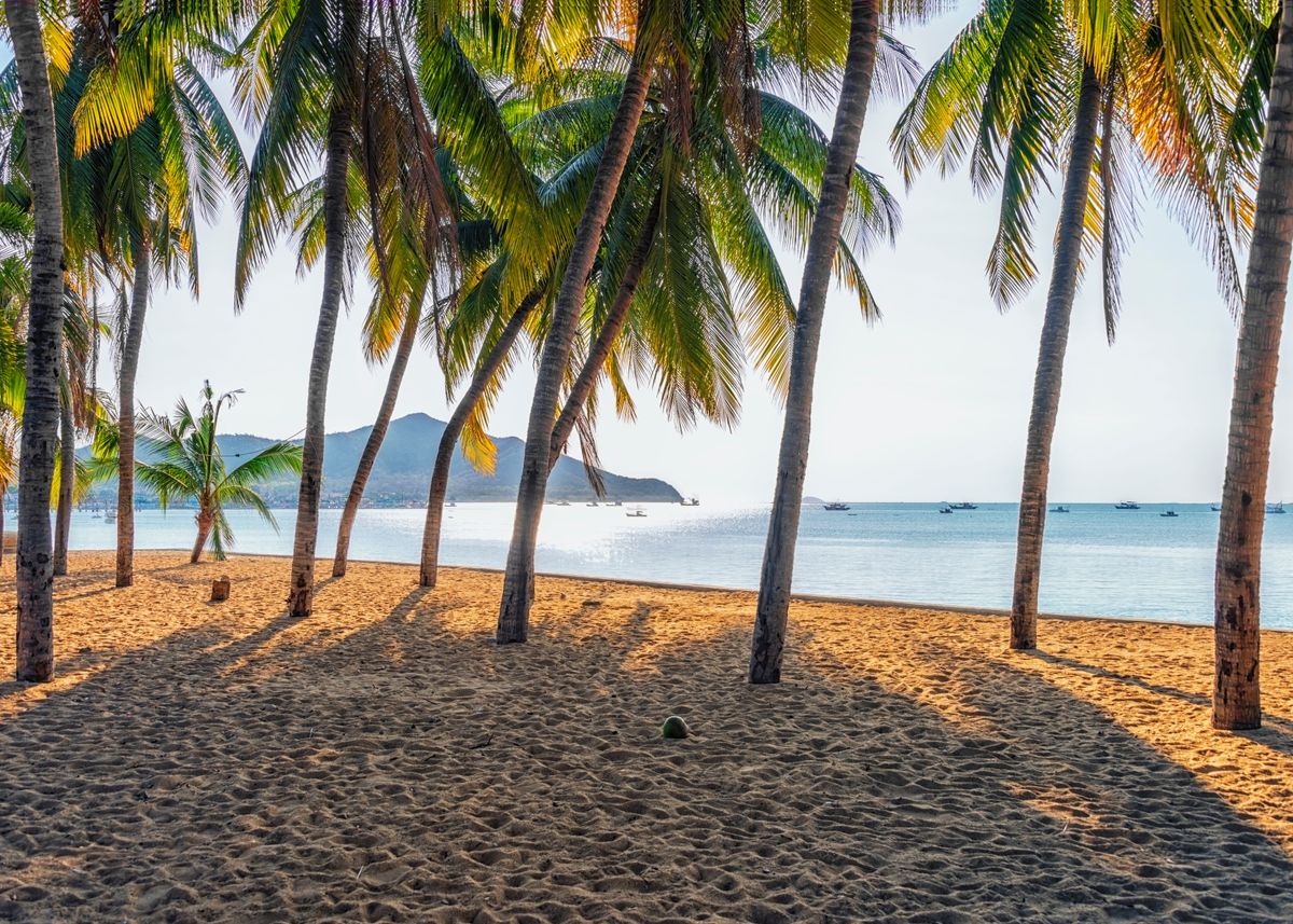 'Tropical Beach' Poster, picture, metal print, paint by Mango Art ...