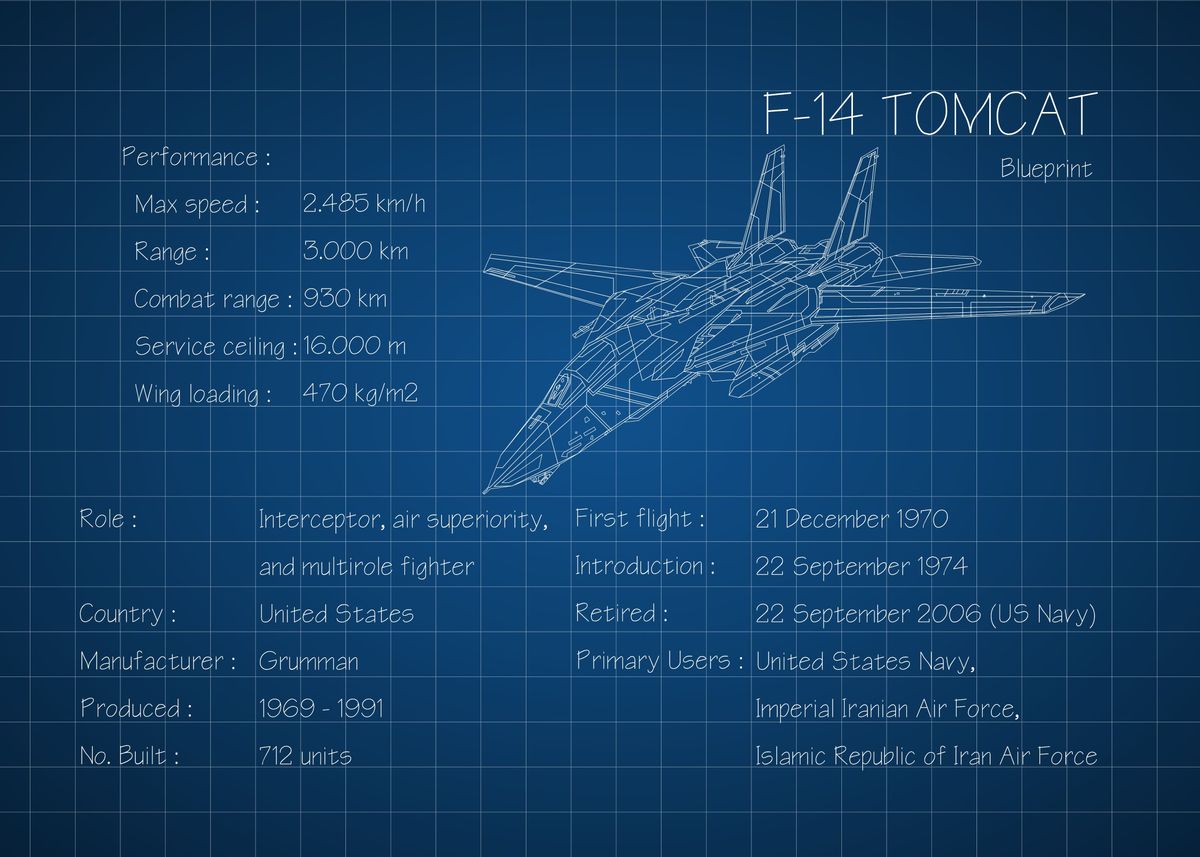 'F14 Tomcat' Poster, picture, metal print, paint by Lintang Wicaksono ...