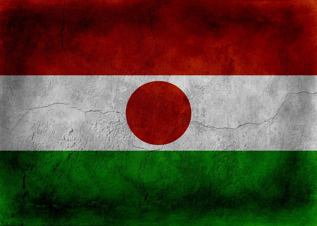 'Niger' Poster, picture, metal print, paint by Eli Cassin | Displate