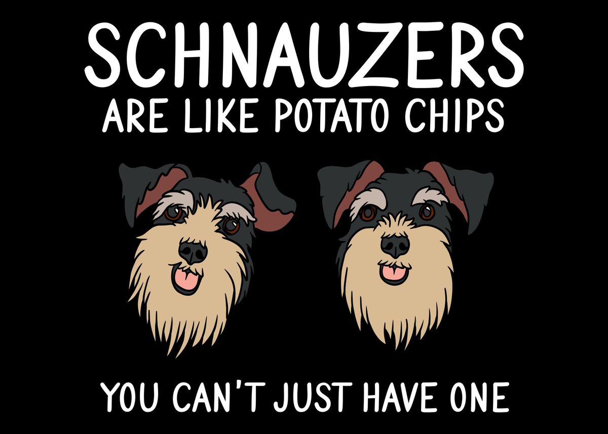 'Schnauzers' Poster, picture, metal print, paint by Hexor | Displate