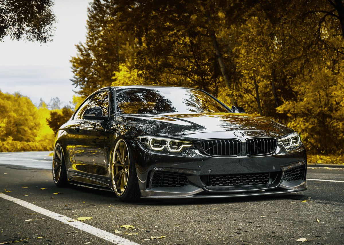 'bmw' Poster, picture, metal print, paint by Horror Cars | Displate