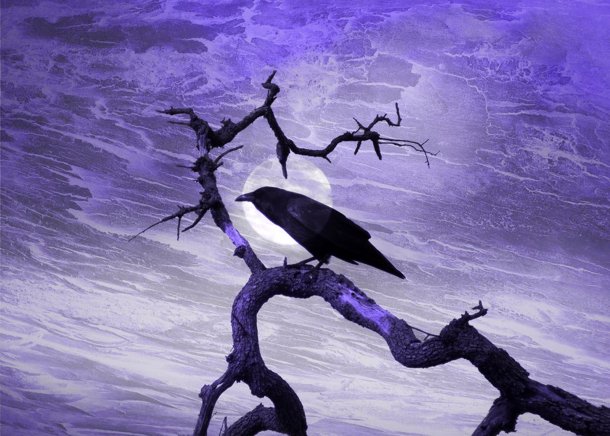 'Ravens Perch' Poster, picture, metal print, paint by Robert Ball ...