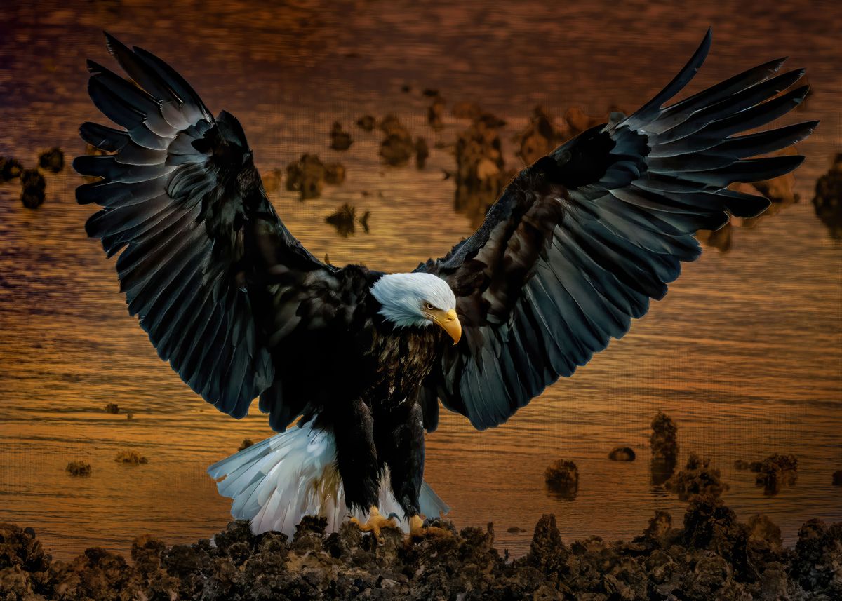 'My Turf' Poster, picture, metal print, paint by Joe OConnell | Displate