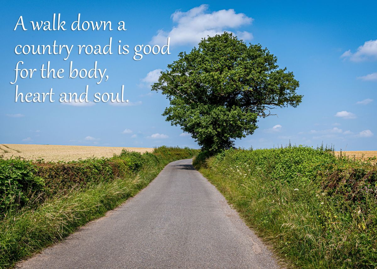 'Country Road Quote' Poster, picture, metal print, paint by Nathan ...