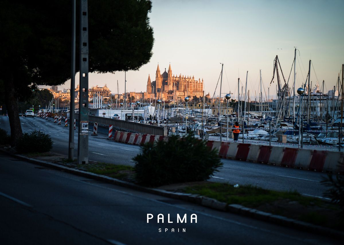 'Palma ' Poster, picture, metal print, paint by Big City | Displate