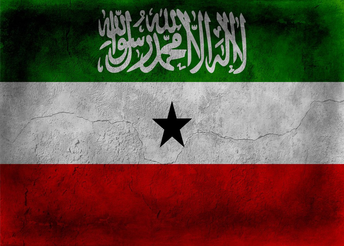 'Somaliland' Poster, picture, metal print, paint by Eli Cassin | Displate