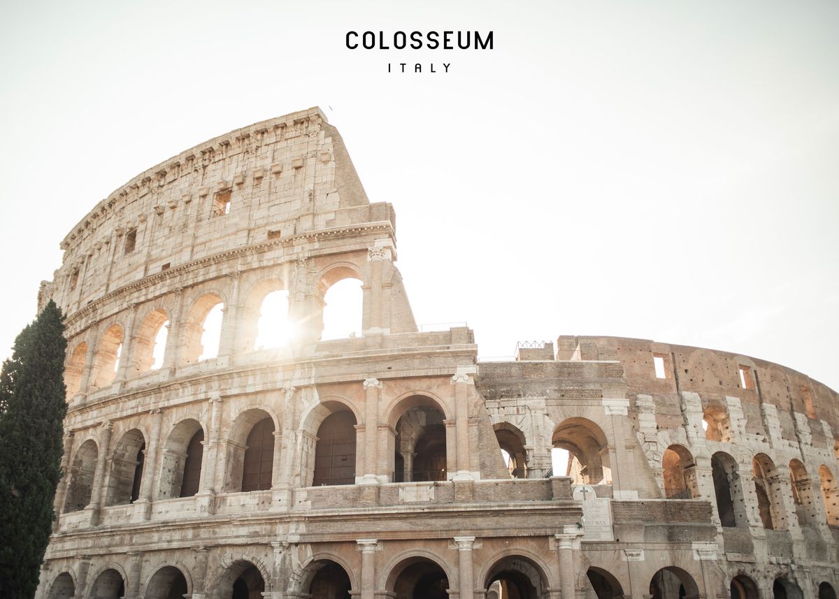 'Colosseum ' Poster, picture, metal print, paint by Famous City | Displate