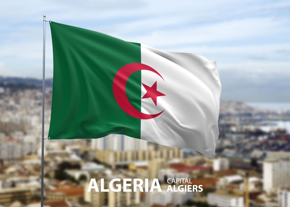 'Algeria Flag' Poster, picture, metal print, paint by FlyingBlade ...