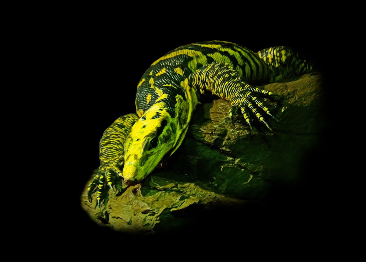'Varanus' Poster, picture, metal print, paint by Gyula Gvardián | Displate