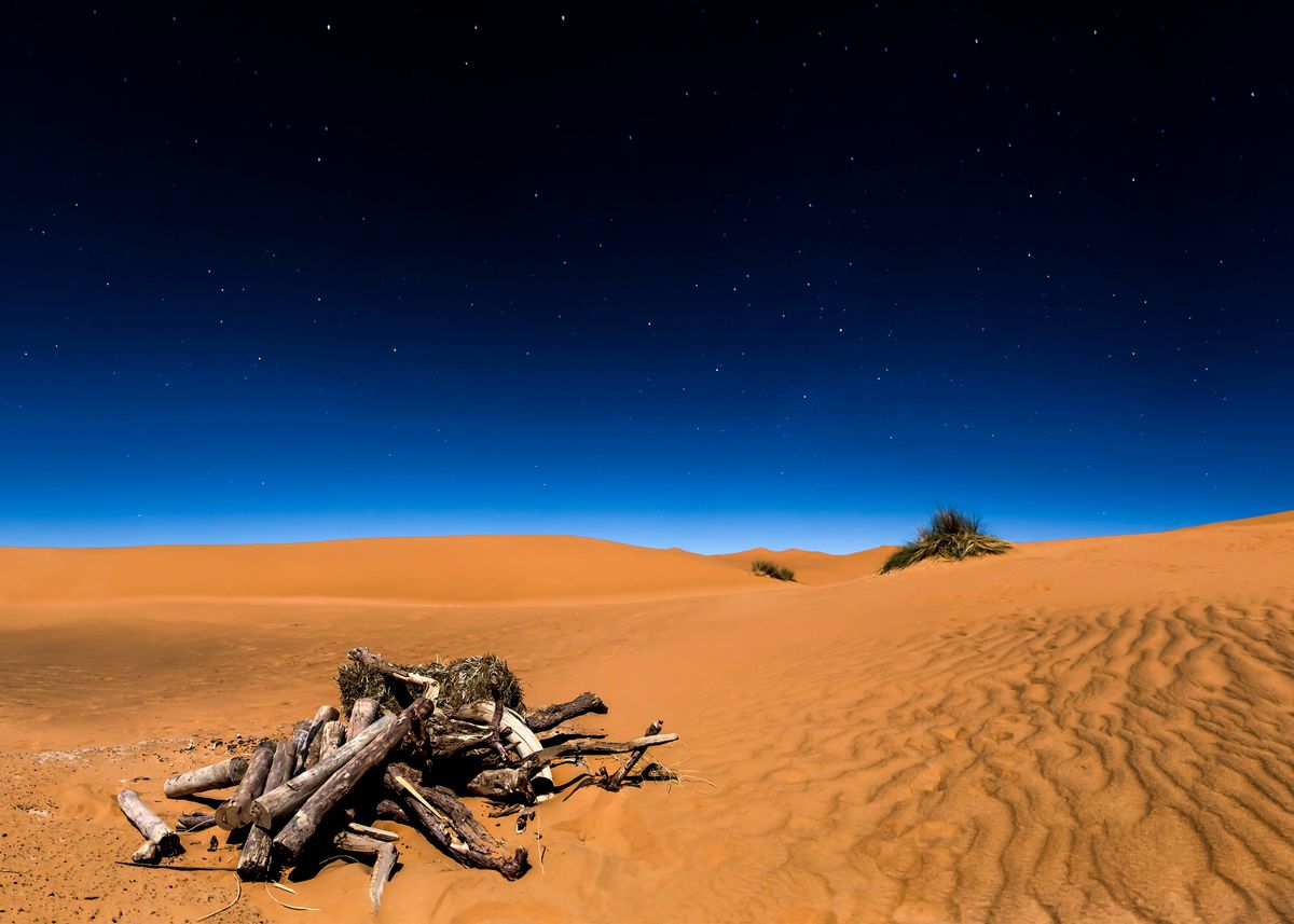'night in sahara' Poster, picture, metal print, paint by Andi klaw ...