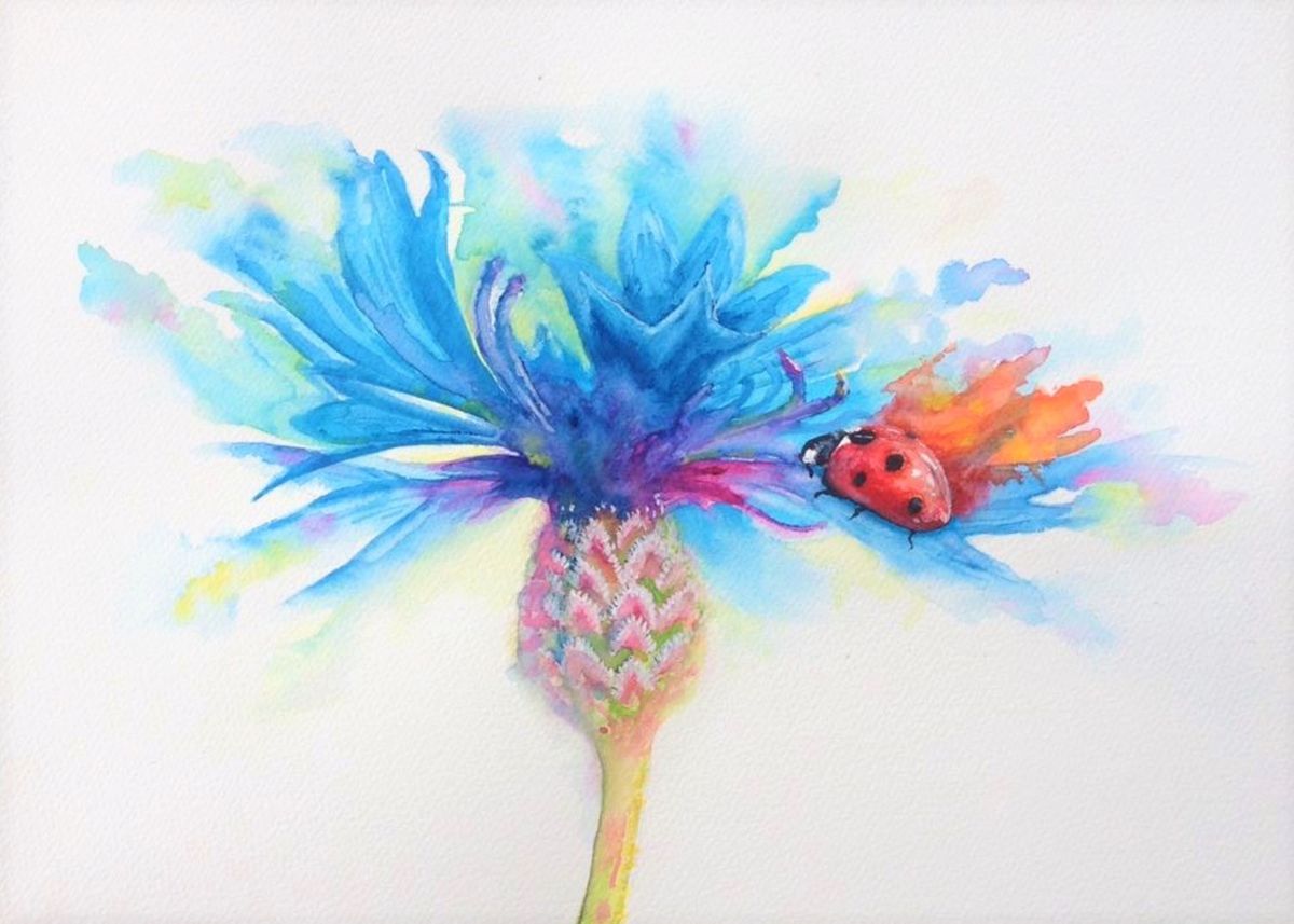 'Cornflower and Ladybird' Poster, picture, metal print, paint by Geoff ...