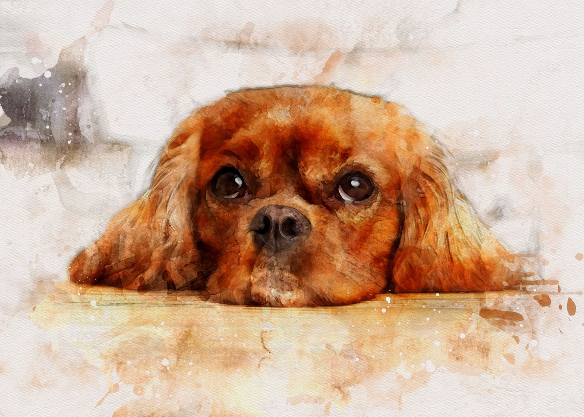 'Watercolour Spaniel' Poster by Fanfreak | Displate