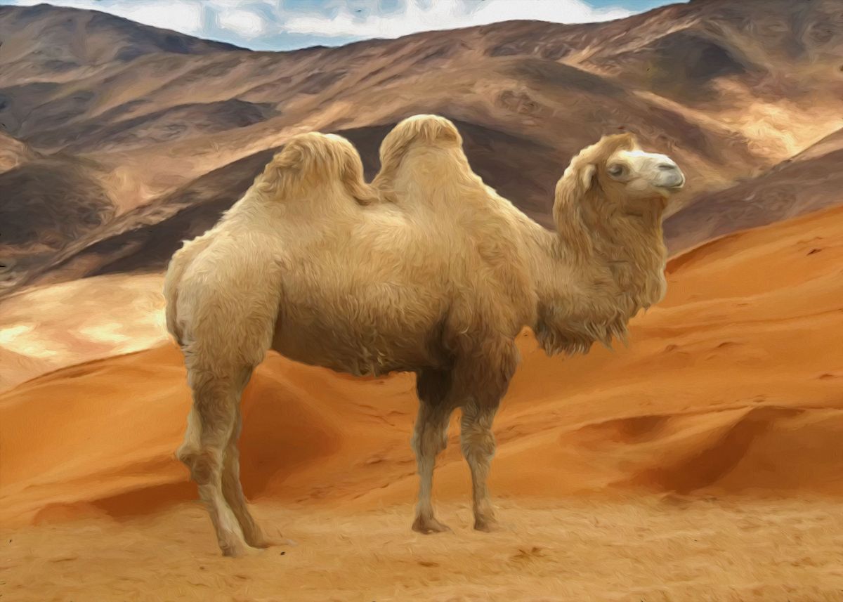 'Bactrian camel' Poster, picture, metal print, paint by Gyula Gvardián ...