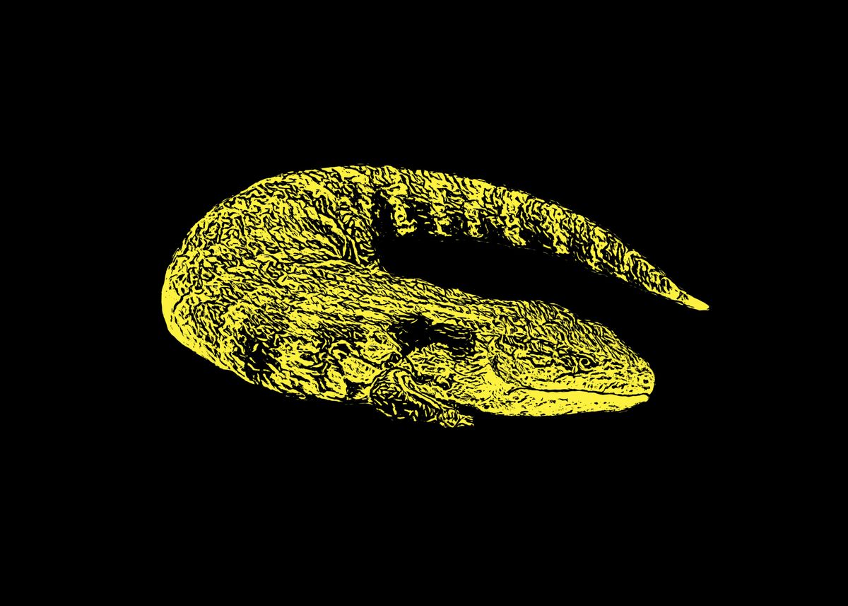 'Skink' Poster, picture, metal print, paint by Gyula Gvardián | Displate