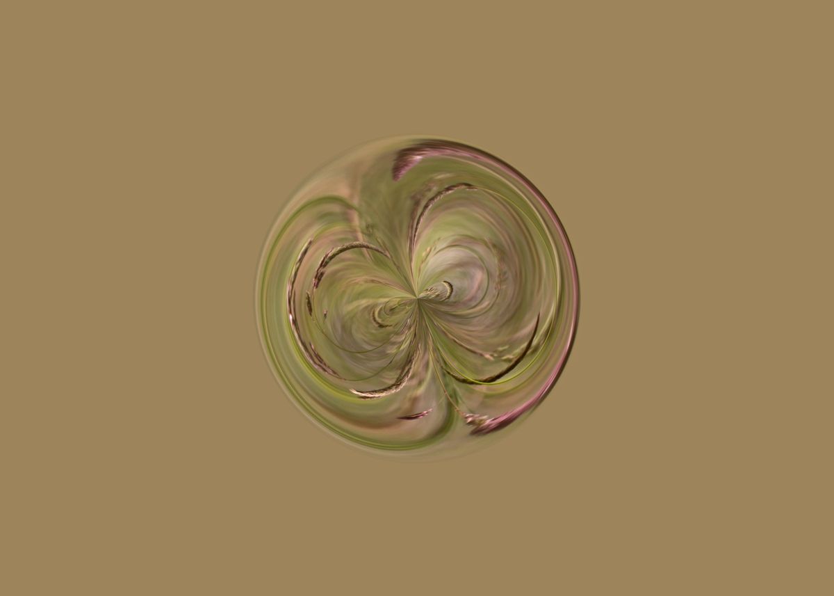 'Prairie grass orb design' Poster, picture, metal print, paint by Katie ...