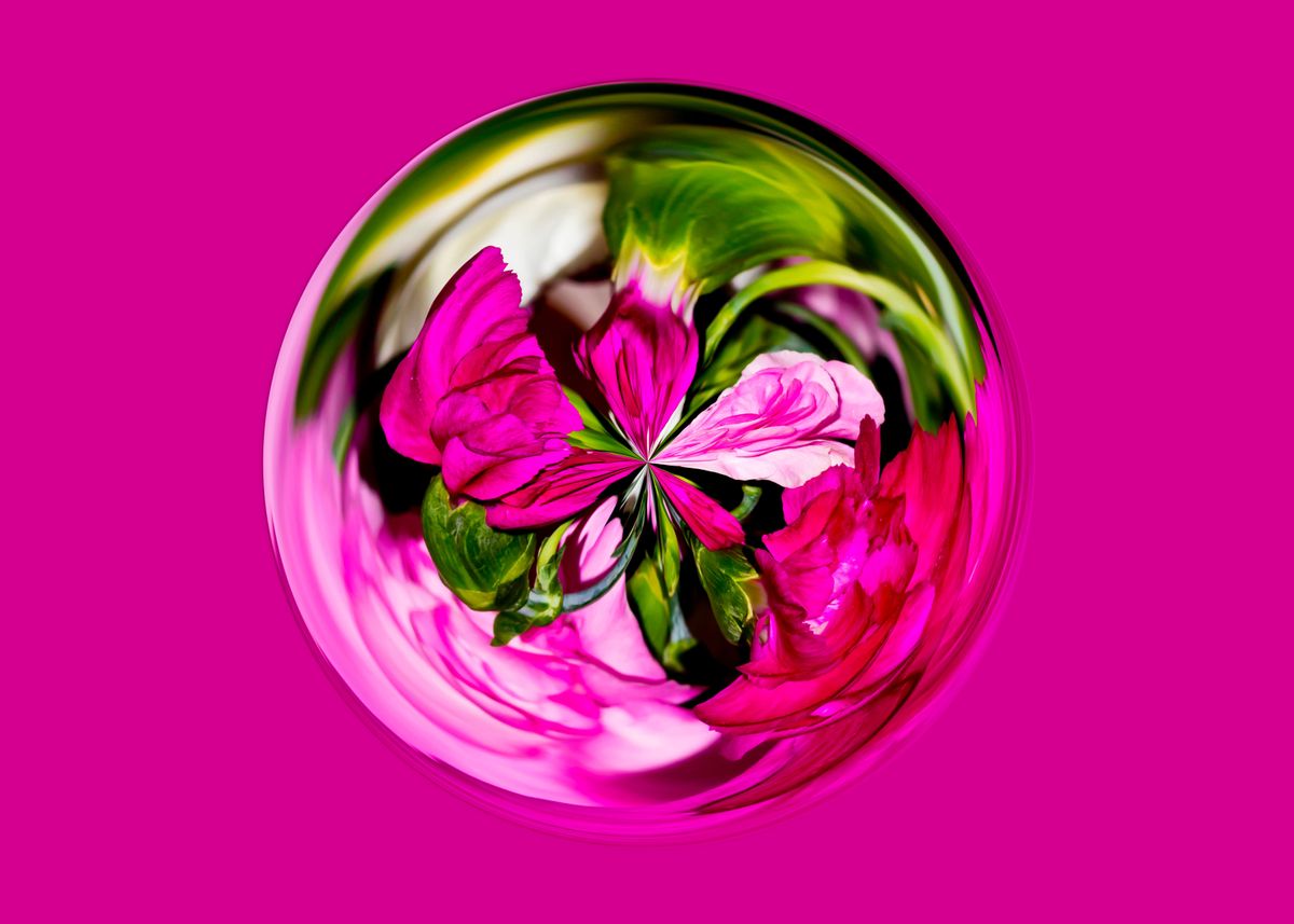 'Bright pink floral design' Poster by Katie Flenker | Displate