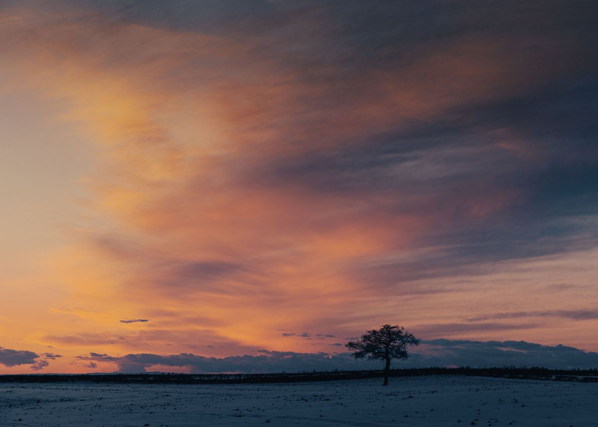 'Orange Winter Sunset' Poster, picture, metal print, paint by Nathan ...