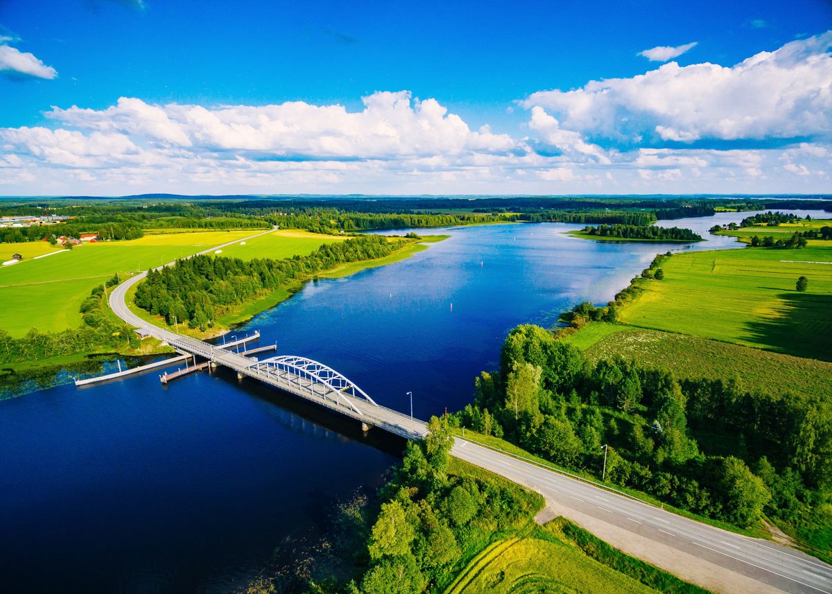 'Natures' Poster, picture, metal print, paint by Riley Malich | Displate