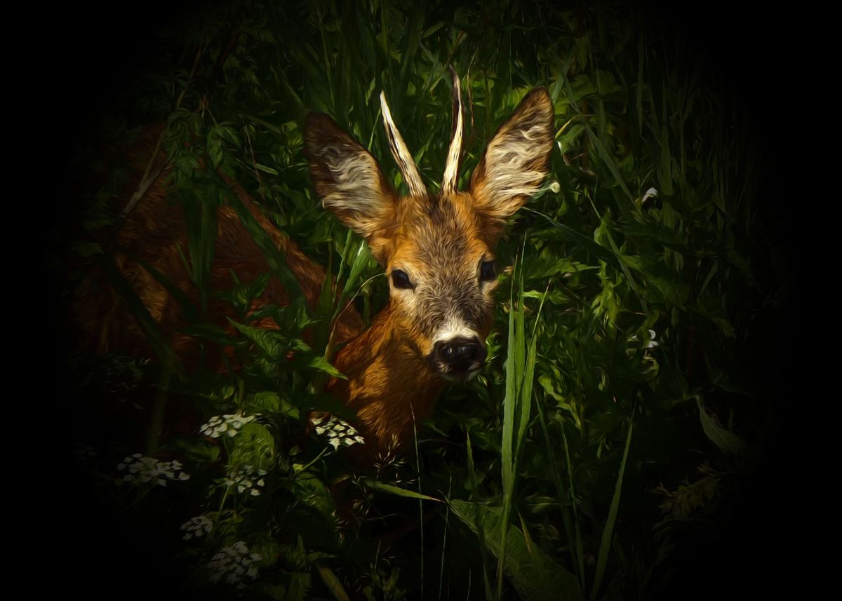 'Young roebuck' Poster, picture, metal print, paint by Gyula Gvardián ...