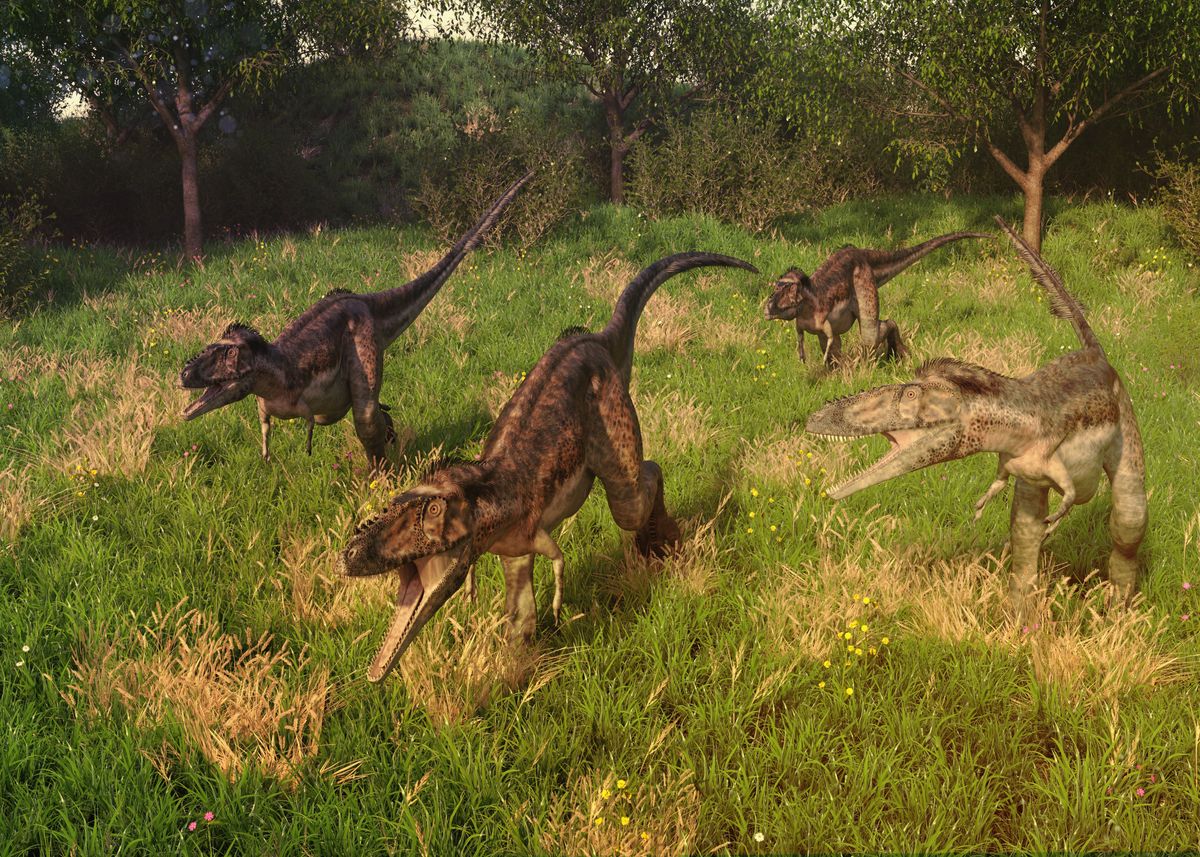 'Alioramus dinosaur pack' Poster, picture, metal print, paint by Gigi ...