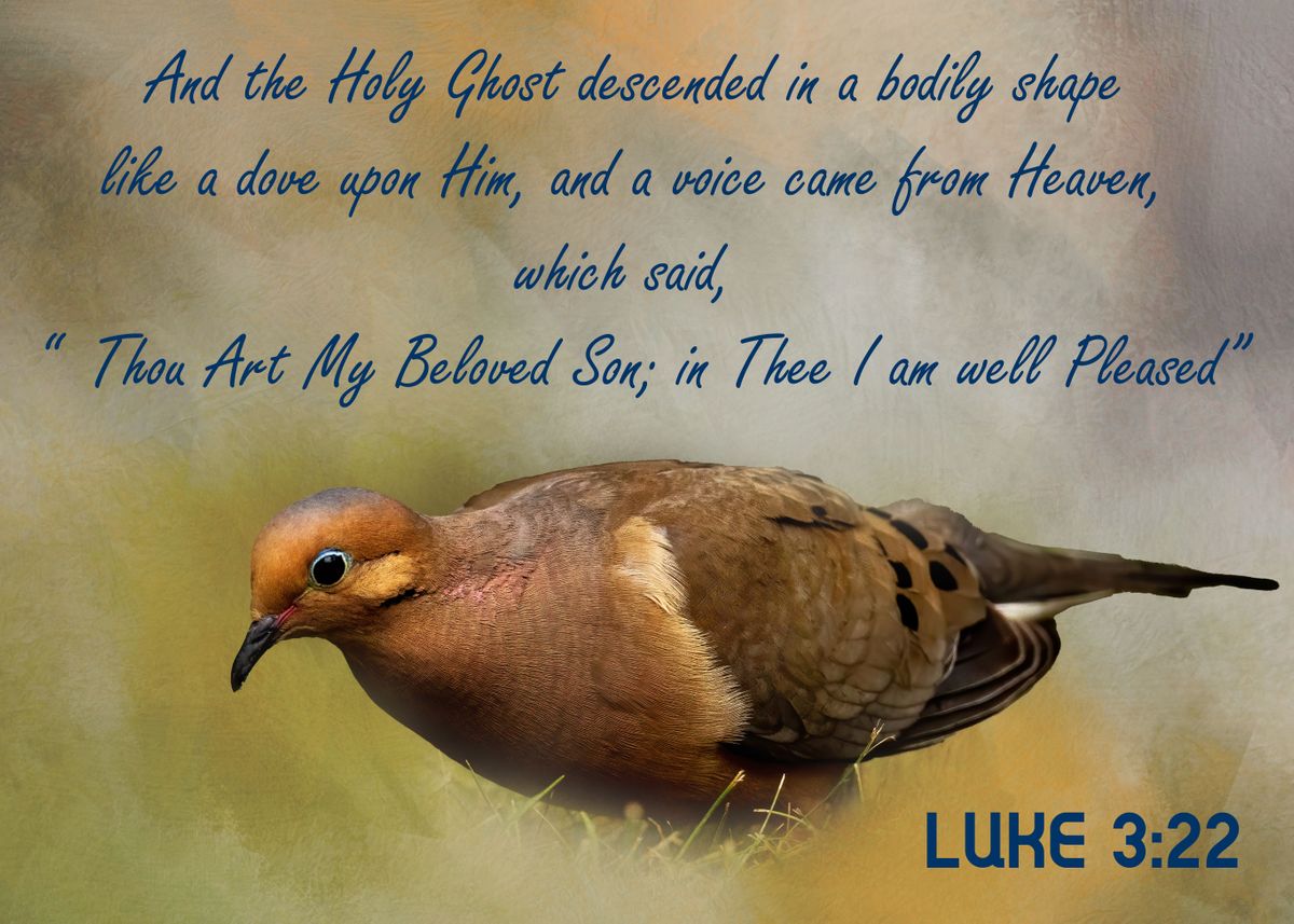 'I am well pleased' Poster, picture, metal print, paint by Joe OConnell ...