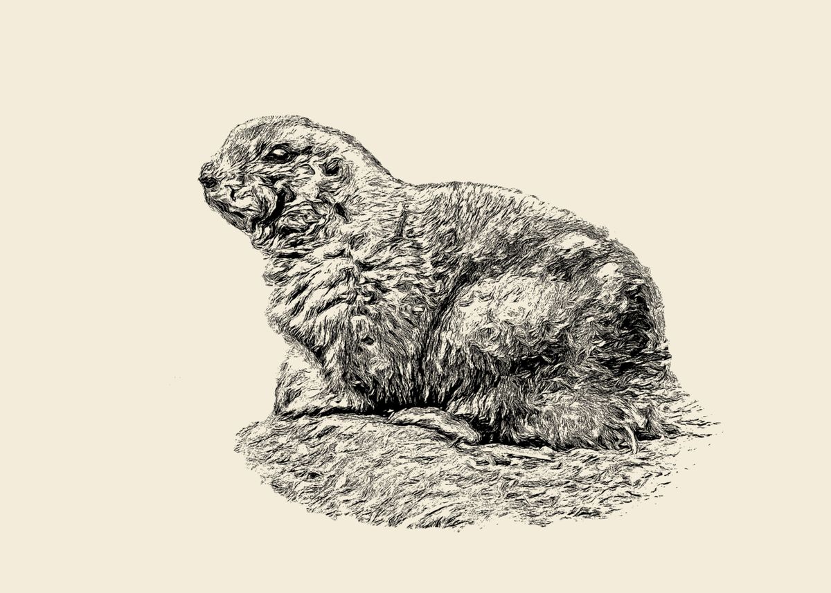 'Prairie dog' Poster, picture, metal print, paint by Gyula Gvardián ...