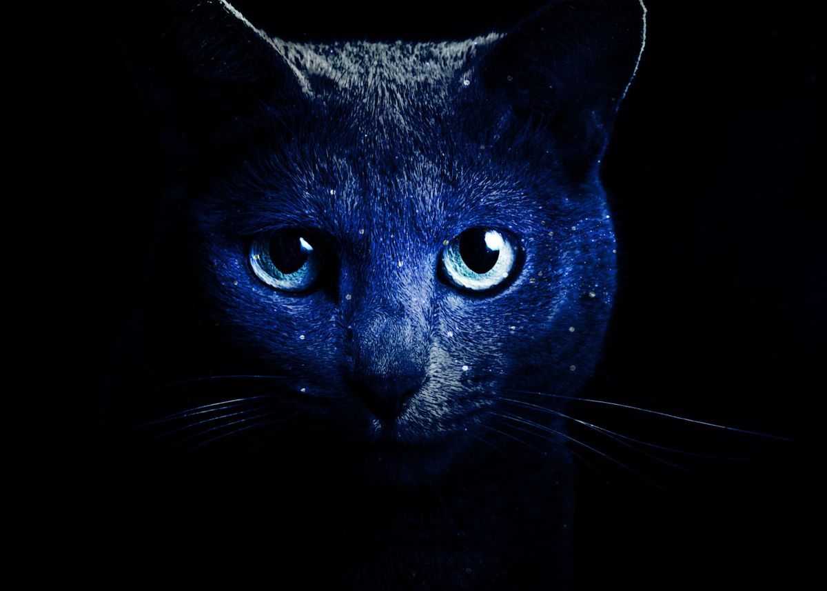 'cat blue art' Poster, picture, metal print, paint by Travel Travel ...